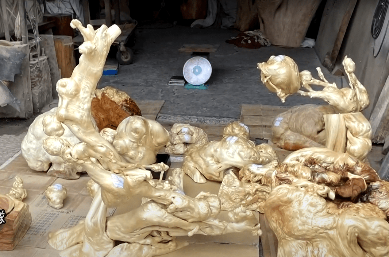 外籍移工盜伐花蓮、南投林木 警攻堅逮6人 — TITV News 原視新聞網